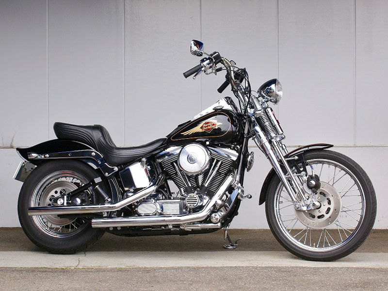 FXSTS スプリンガーソフテイル ｜ Rignise(リグニス)