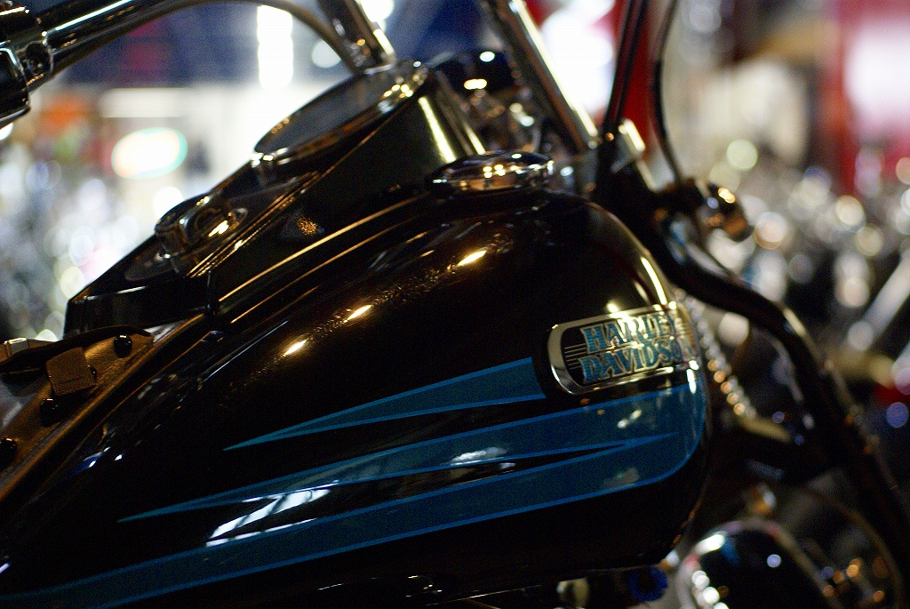 FXSTSB バッドボーイ ｜ Rignise(リグニス)