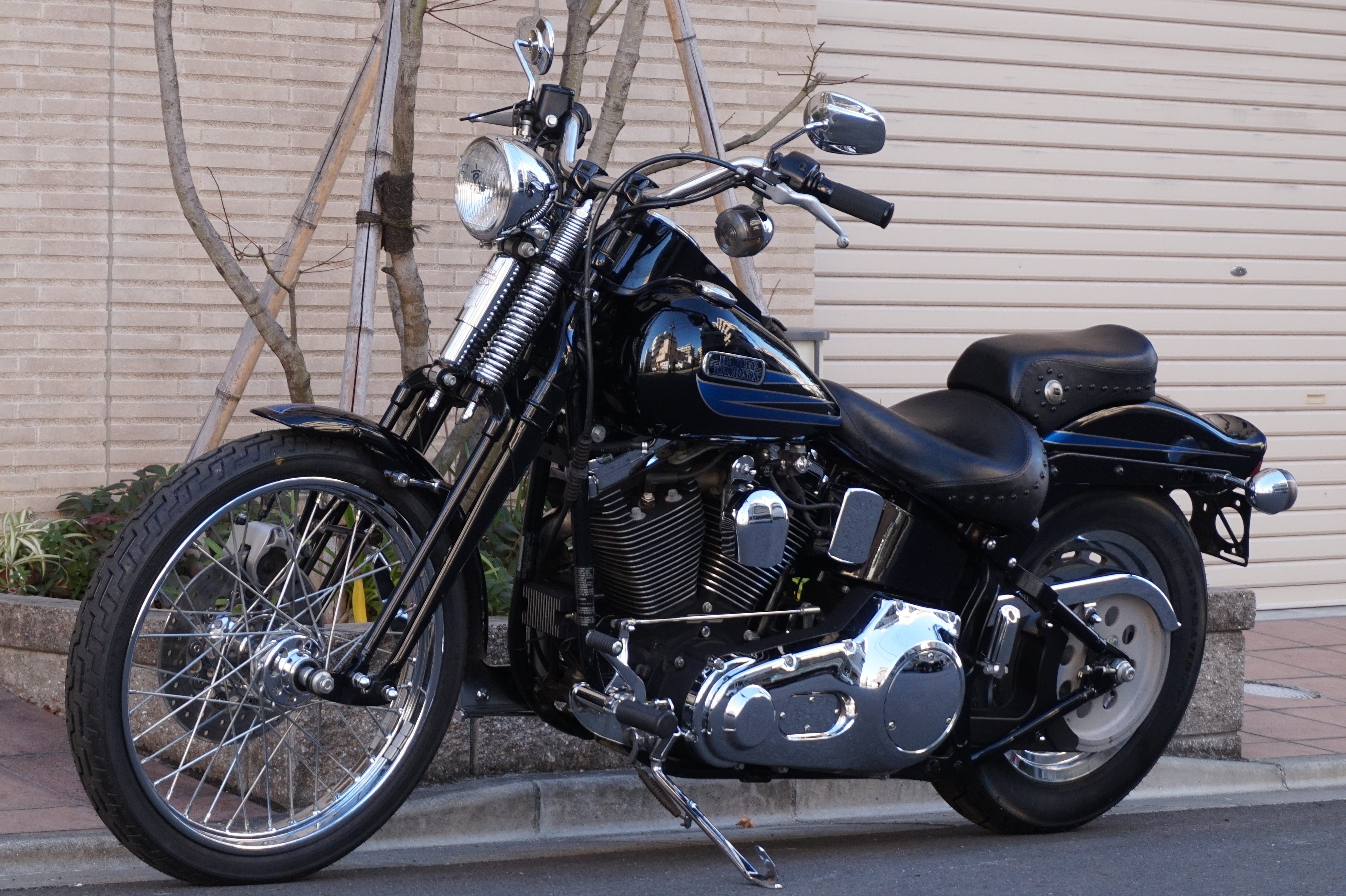 FXSTSB バッドボーイ ｜ Rignise(リグニス)