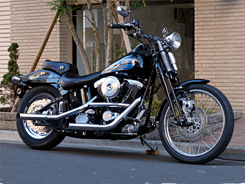 FXSTSB バッドボーイ ｜ Rignise(リグニス)