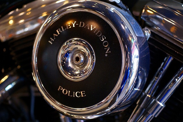 FXRP ｜ Rignise(リグニス)