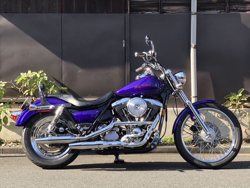 FXR2 ｜ Rignise(リグニス)