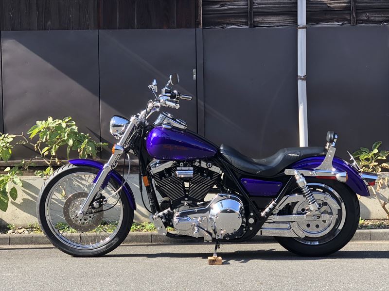 FXR2 ｜ Rignise(リグニス)