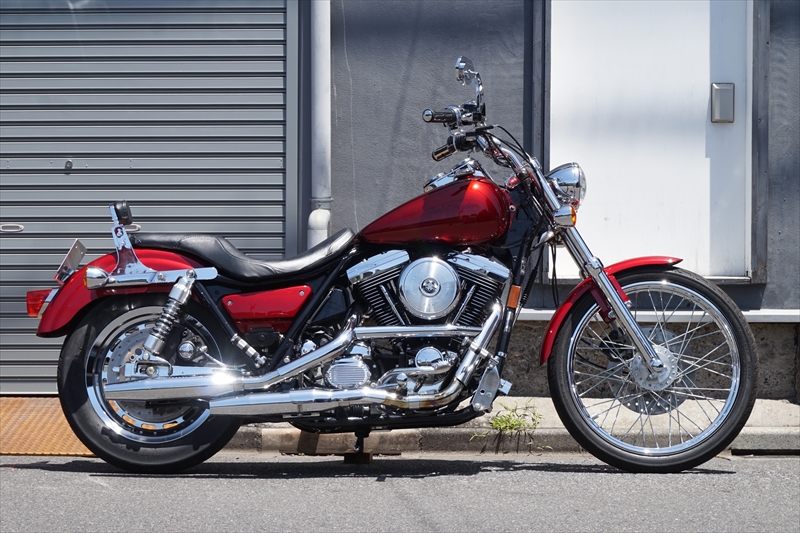 FXR2 ｜ Rignise(リグニス)