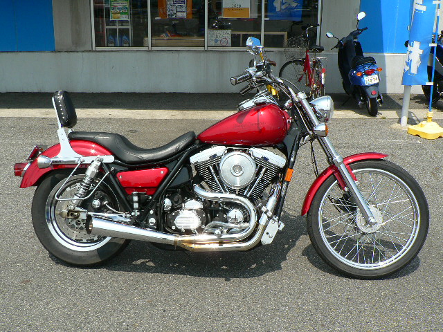 FXR2 ｜ Rignise(リグニス)