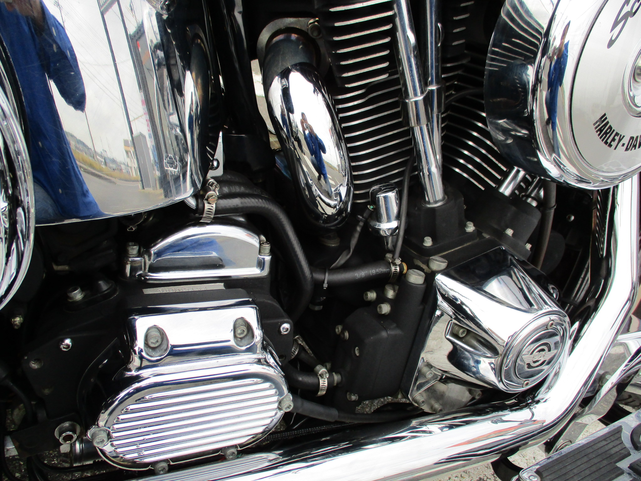 FLSTS 1998 ヘリテイジスプリンガー95th限定車 価格ASK ｜ Rignise(リグニス)